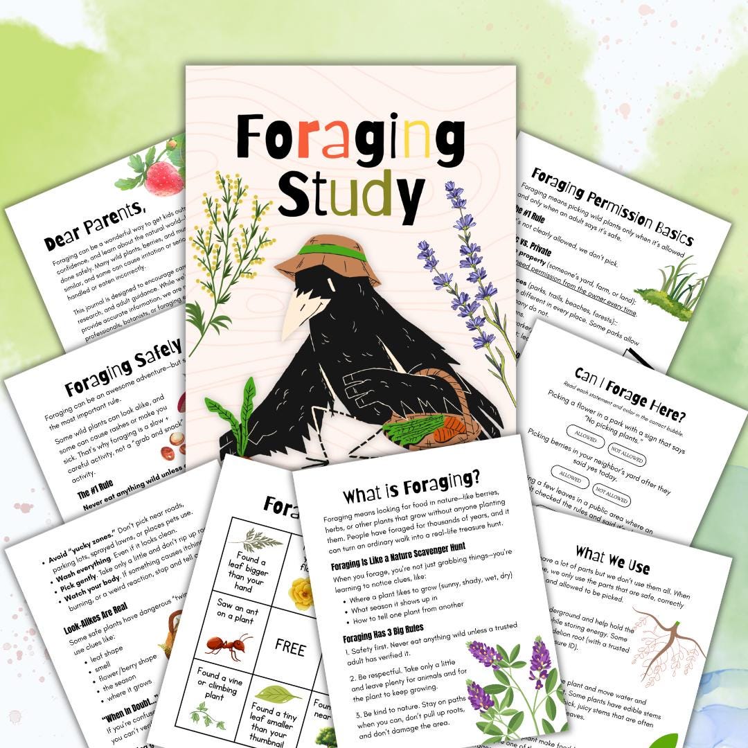 Safety & Survival Bundle for Kids | Survival Skills + Bushcraft ...