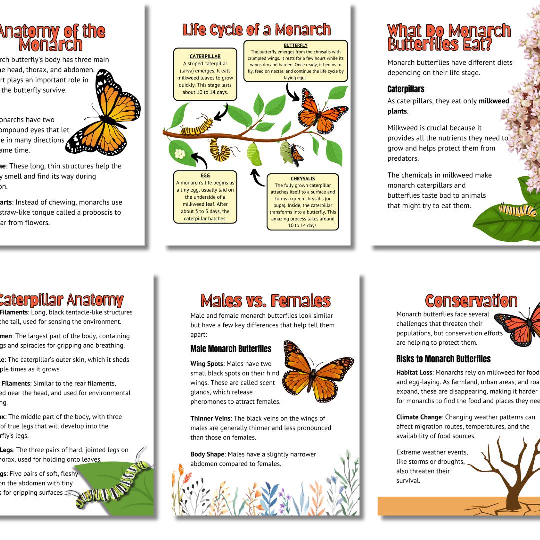 Monarch Butterflies Homeschool Mini Study Unit | Digital Download ...