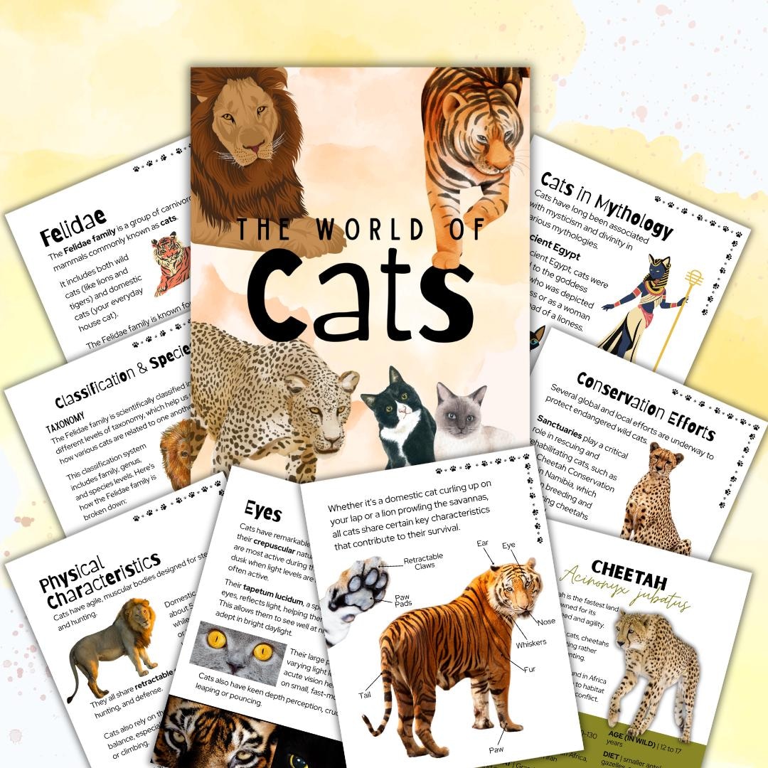 Cats Homeschool Animal Study Unit | Digital Download Curriculum - Etsy