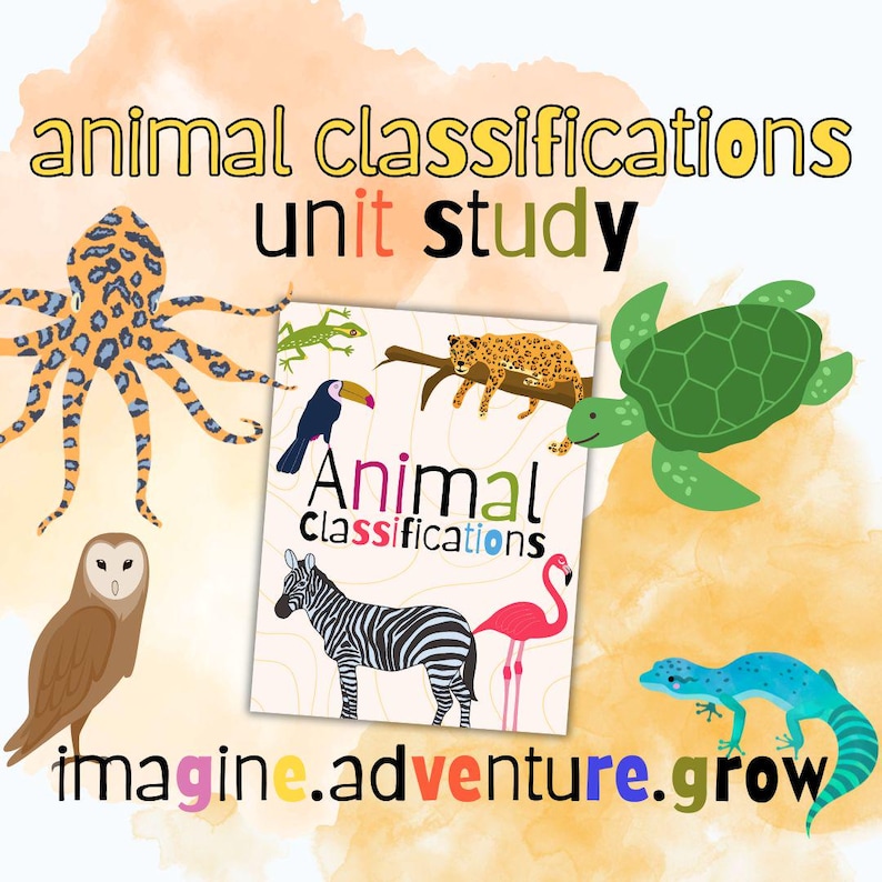 Animal Classifications Homeschool Study Unit | Digital Download ...
