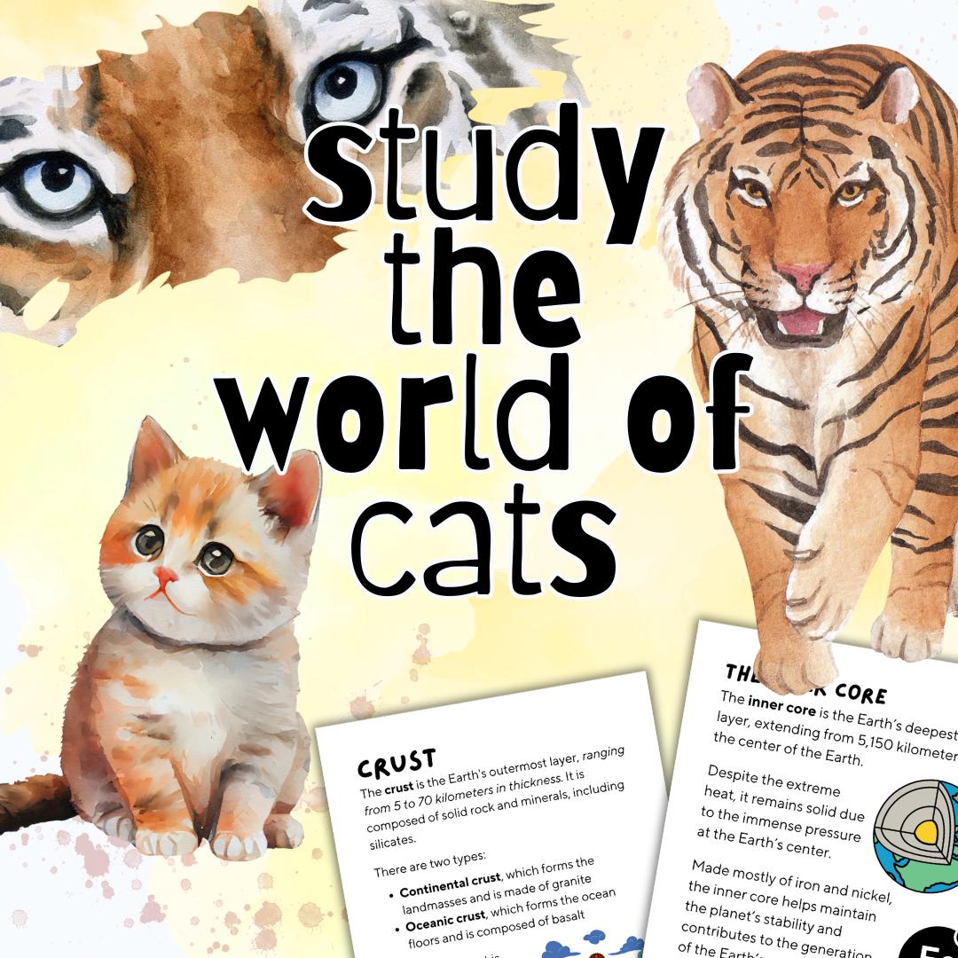 Cats Homeschool Animal Study Unit | Digital Download Curriculum - Etsy