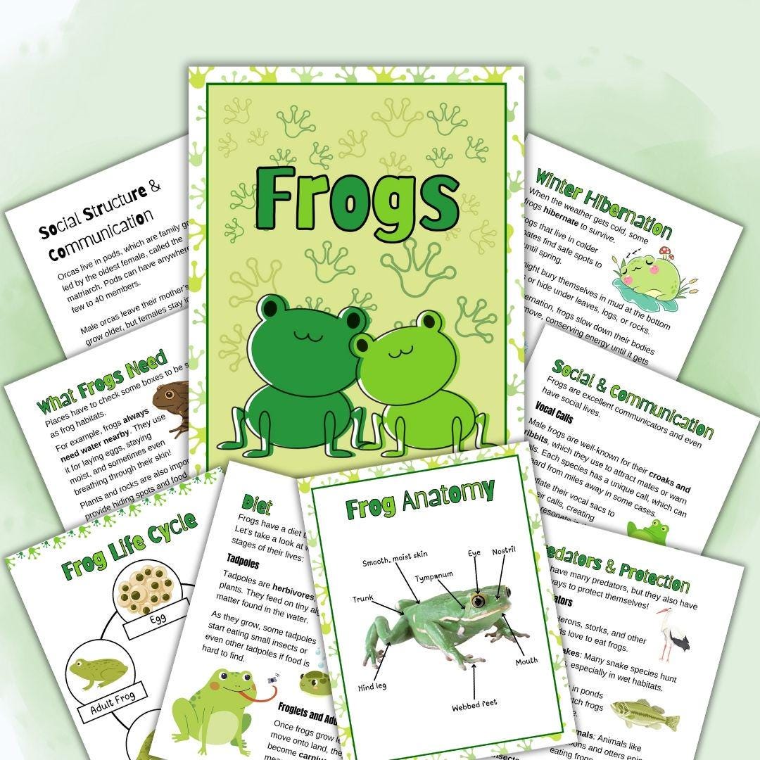 Frogs Homeschool Study Unit | Digital Download Curriculum - Etsy