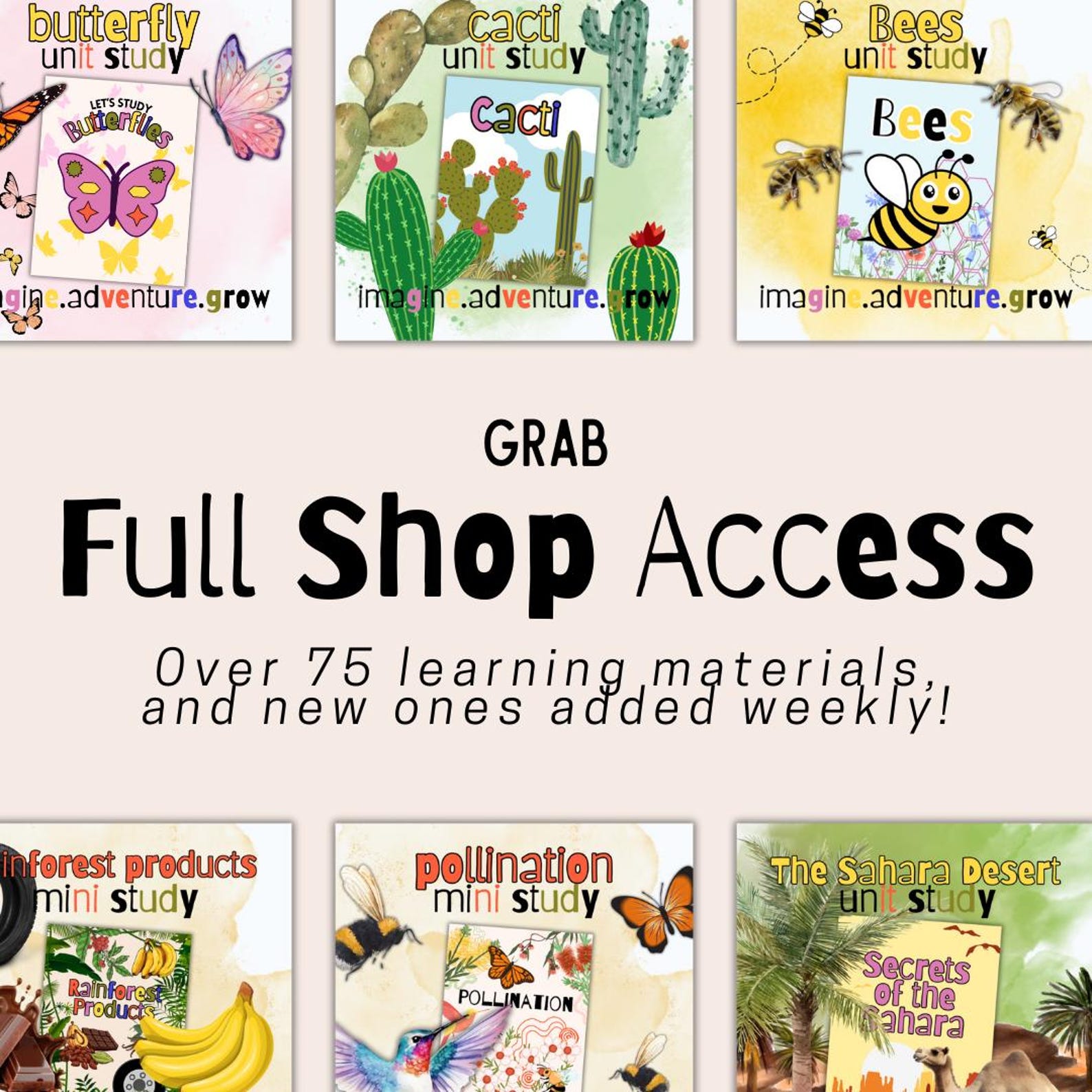 Entire Shop Access | Ultimate Homeschool Curriculum Bundle - Etsy