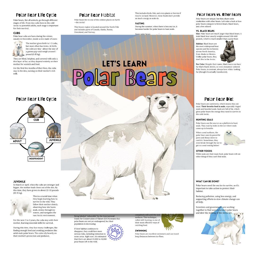 Polar Bear Homeschool Study Unit | Digital Download Curriculum - Etsy