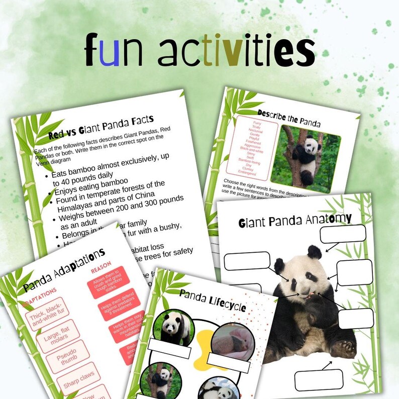 Giant Panda Homeschool Study Unit | Digital Download Curriculum - Etsy