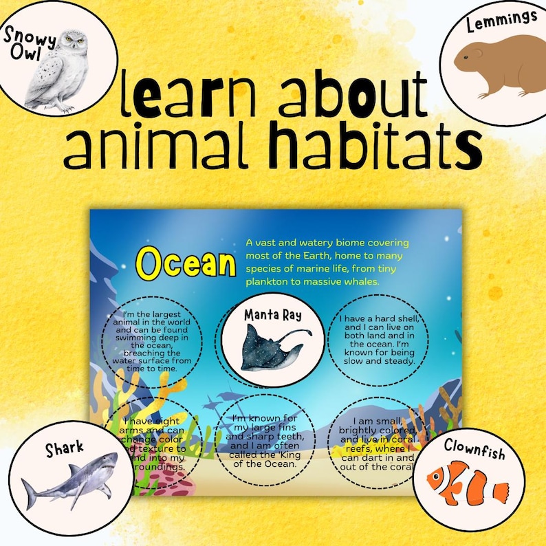 Animal Habitats Busy Book | Homeschool Science Worksheet - Etsy