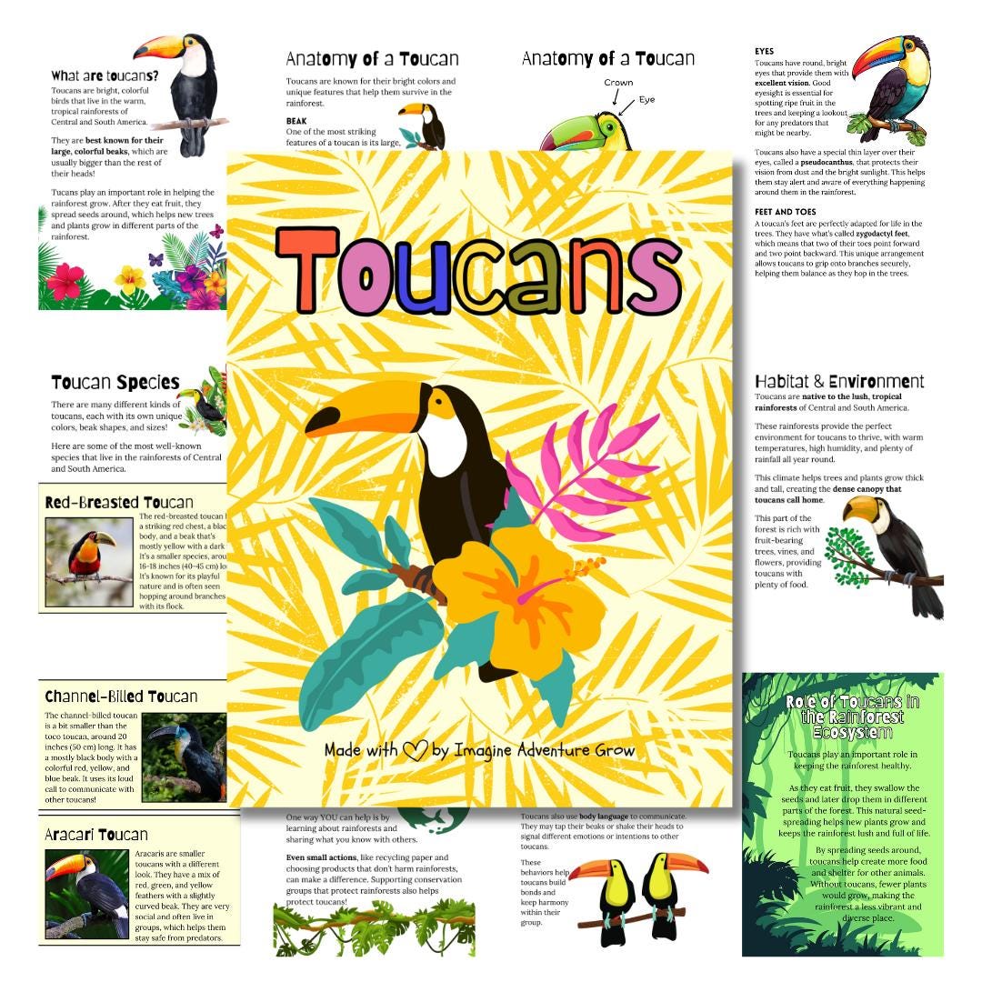 Toucans Homeschool Mini Study Unit | Digital Download Curriculum - Etsy