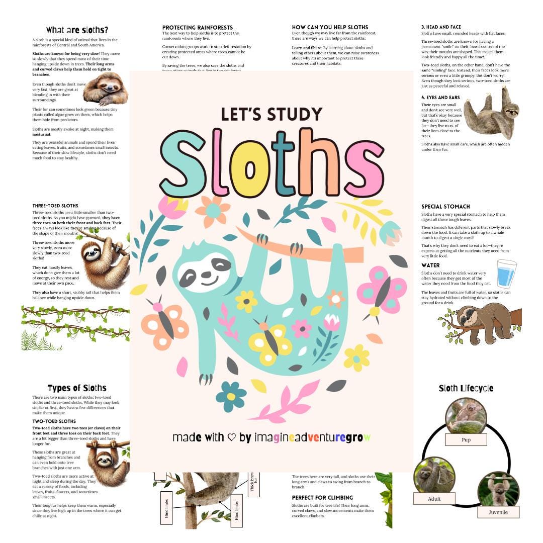 Sloth Homeschool Study Unit | Digital Download Curriculum - Etsy