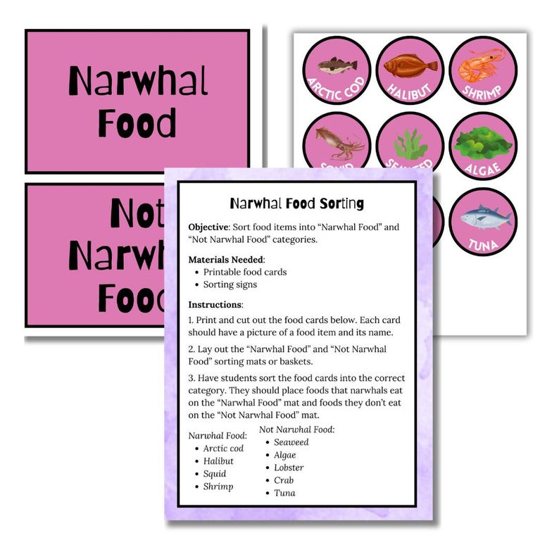 Narwhal Homeschool Study Unit | Digital Download Curriculum - Etsy
