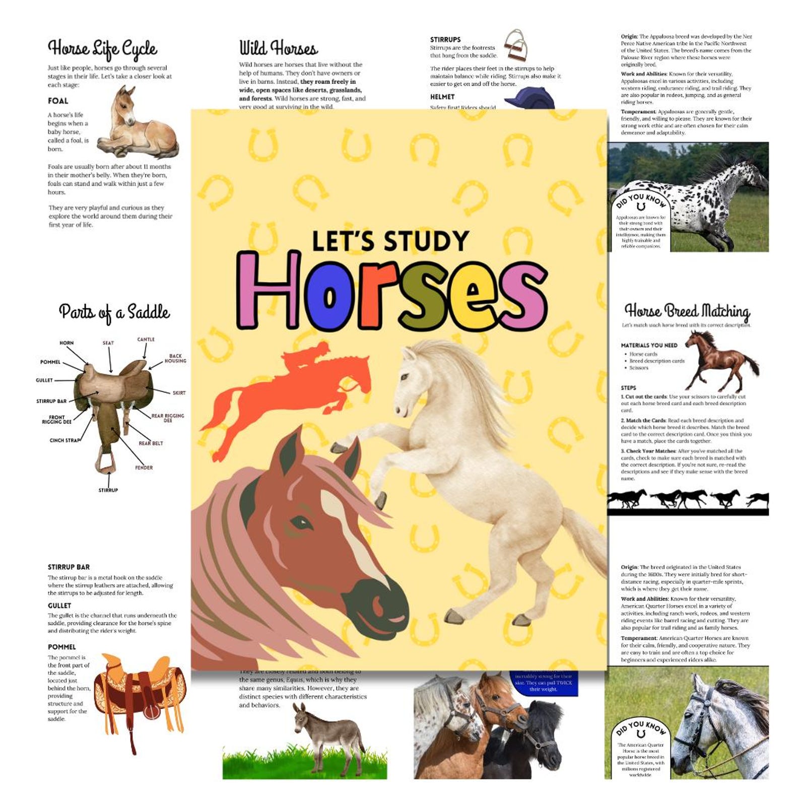 Horses Homeschool Study Unit | Digital Download Curriculum - Etsy
