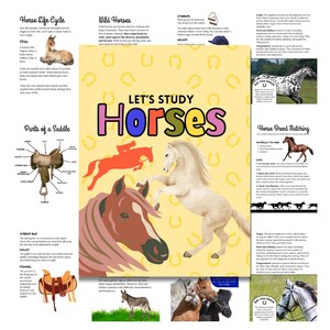 Horses Homeschool Study Unit | Digital Download Curriculum - Etsy