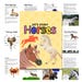 Horses Homeschool Study Unit | Digital Download Curriculum - Etsy
