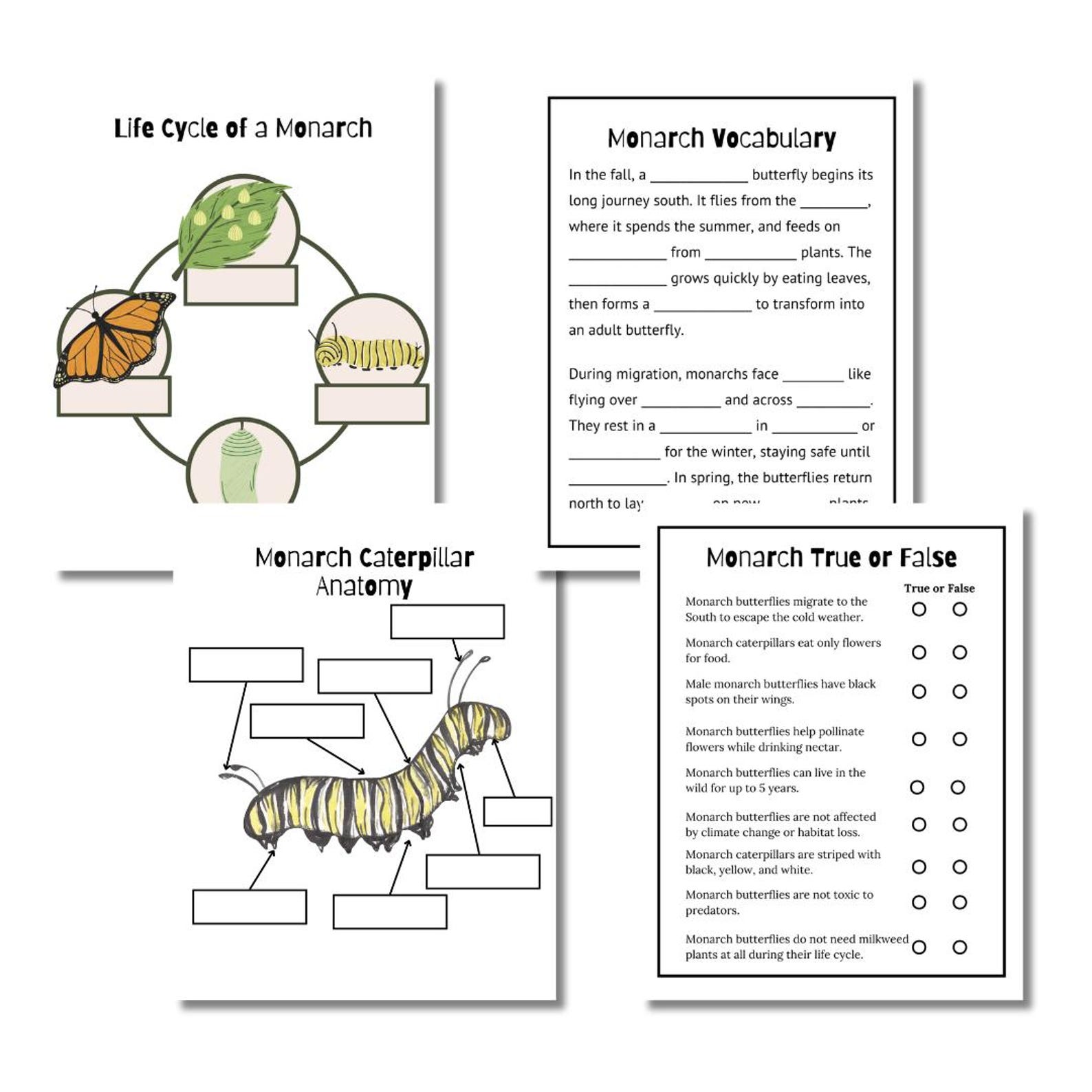 Monarch Butterflies Homeschool Mini Study Unit | Digital Download ...
