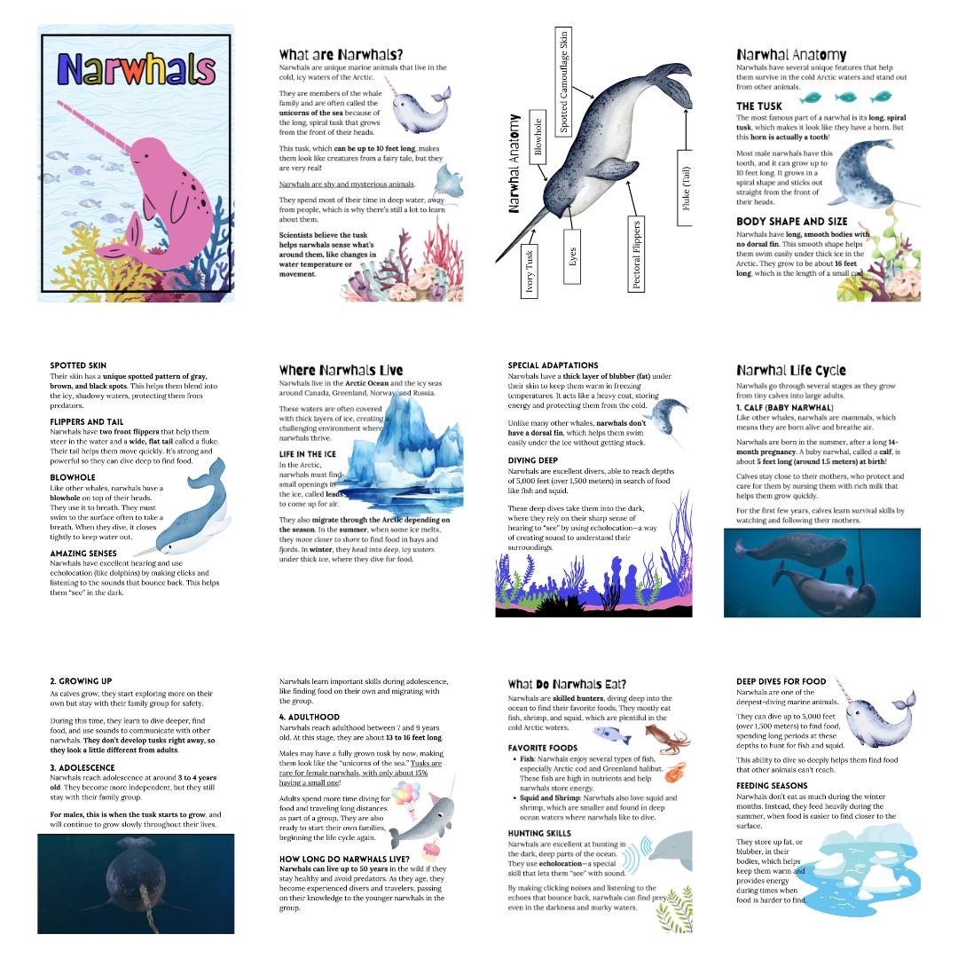 Narwhal Homeschool Study Unit | Digital Download Curriculum - Etsy