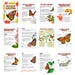 Monarch Butterflies Homeschool Mini Study Unit | Digital Download ...