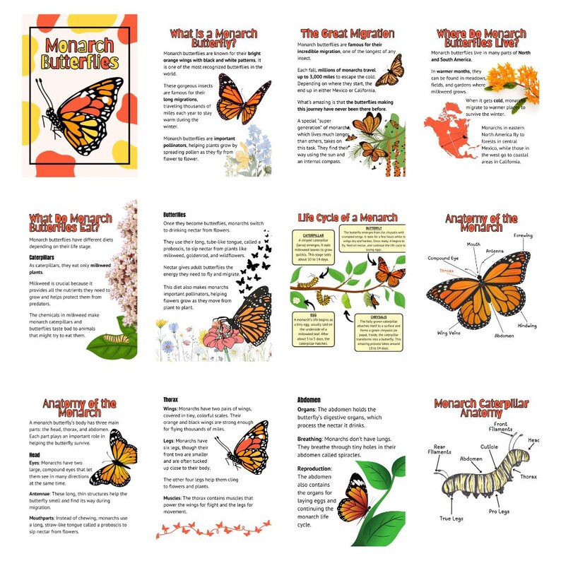Monarch Butterflies Homeschool Mini Study Unit | Digital Download ...