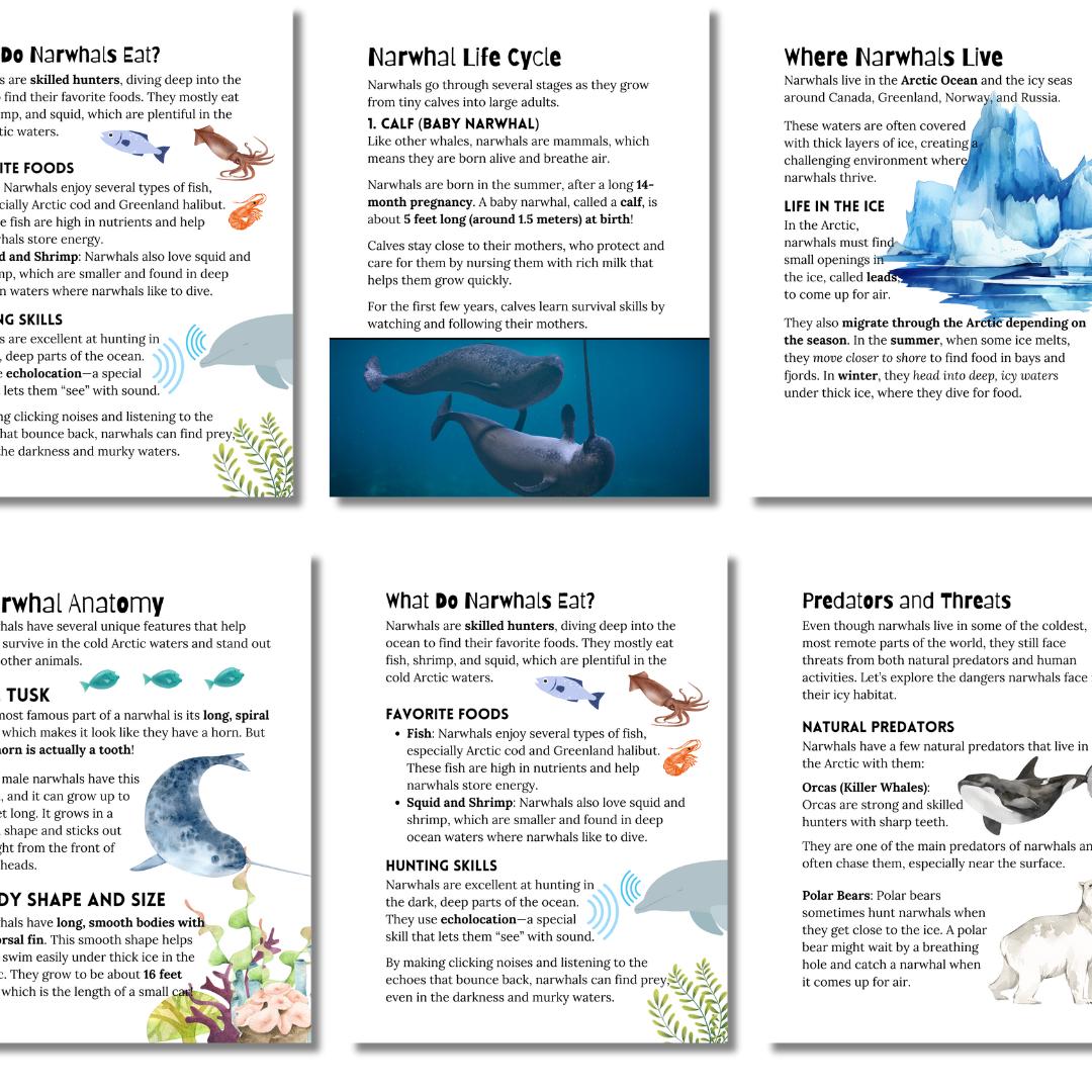 Narwhal Homeschool Study Unit | Digital Download Curriculum - Etsy