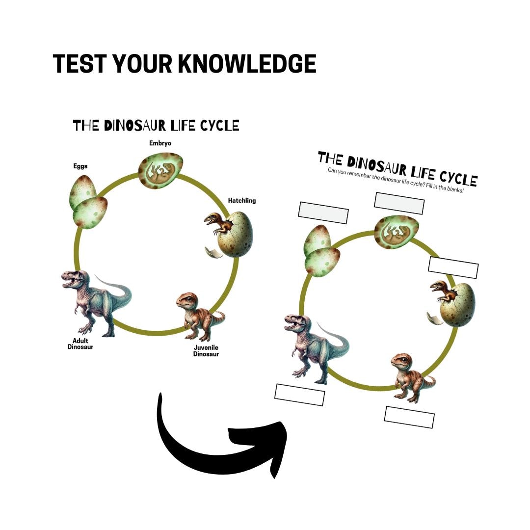 Dinosaur Homeschool Study Unit | Digital Download Curriculum - Etsy