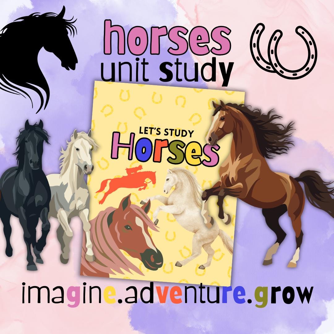 Horses Homeschool Study Unit | Digital Download Curriculum - Etsy