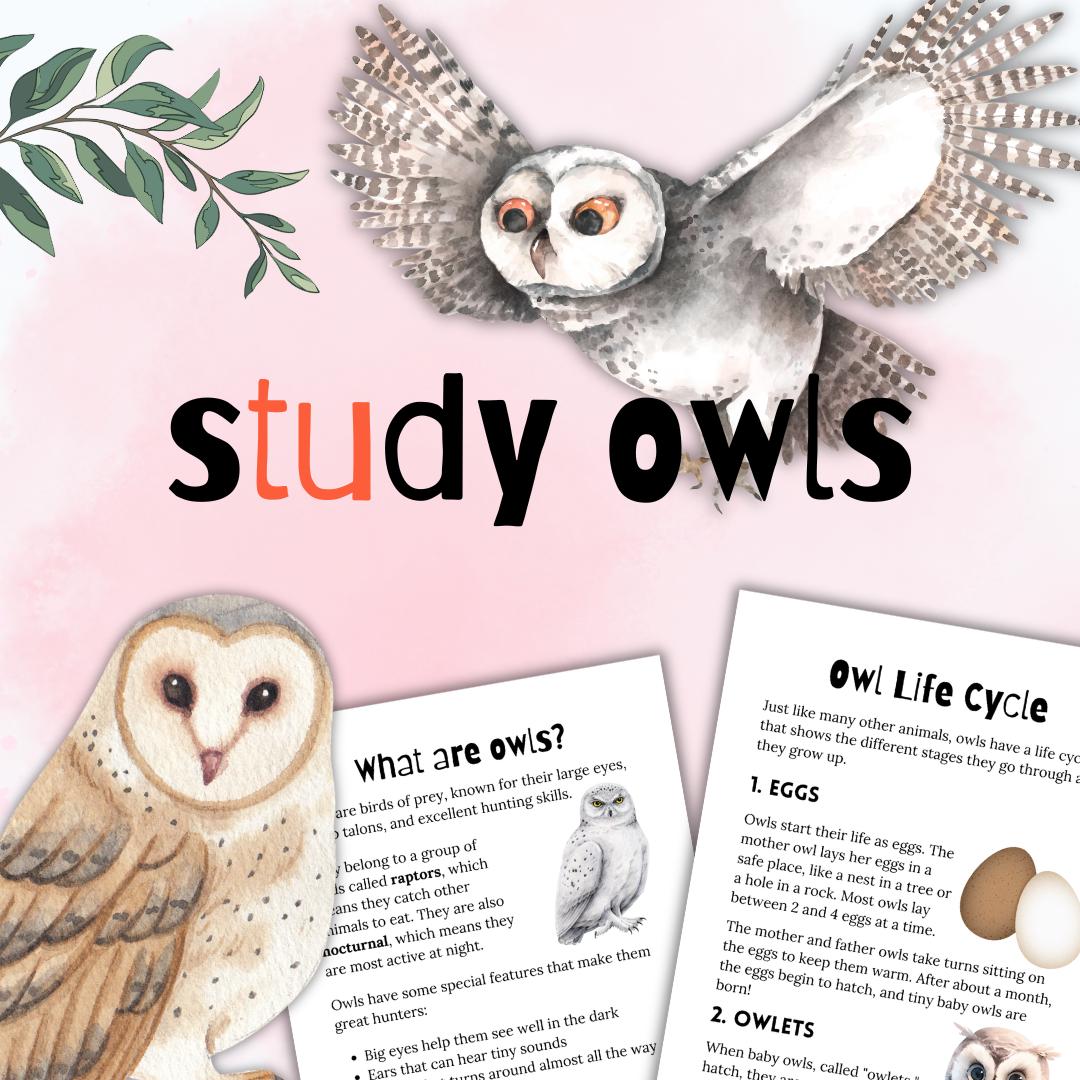 Owls Homeschool Study Unit | Digital Download Curriculum | Fall Animals ...