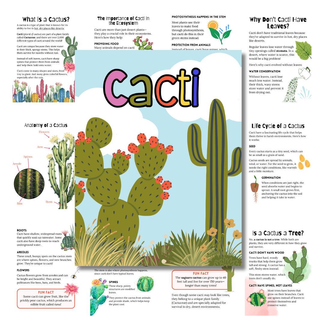 Cacti Plants Homeschool Study Unit | Digital Download Curriculum - Etsy