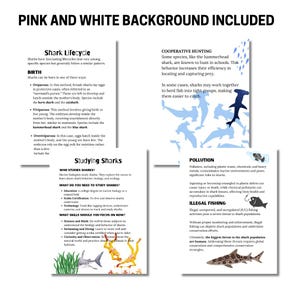 Shark Homeschool Study Unit | Digital Download Curriculum - Etsy