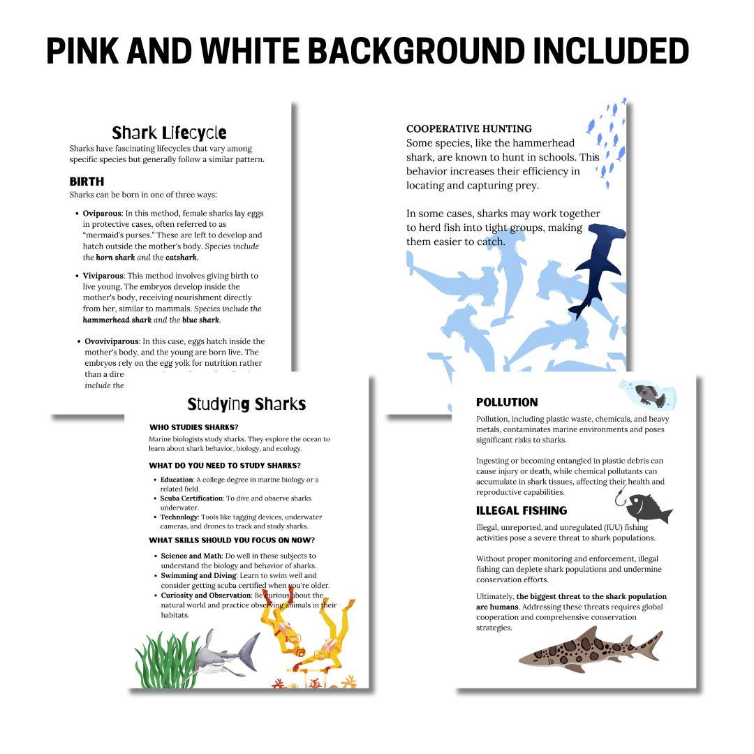 Shark Homeschool Study Unit | Digital Download Curriculum - Etsy