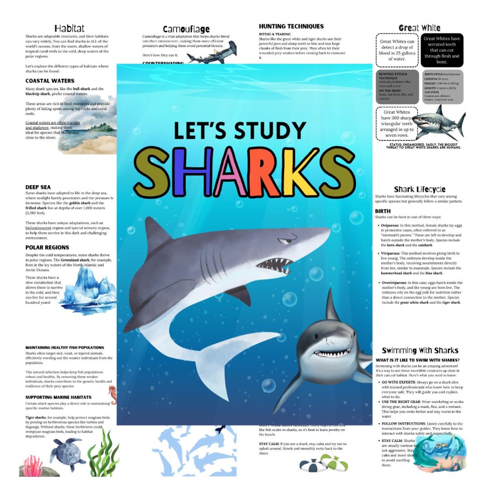 Shark Homeschool Study Unit | Digital Download Curriculum - Etsy