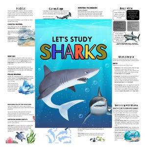 Shark Homeschool Study Unit | Digital Download Curriculum - Etsy