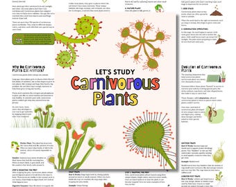 Carnivorous Plants Unit Study - Etsy