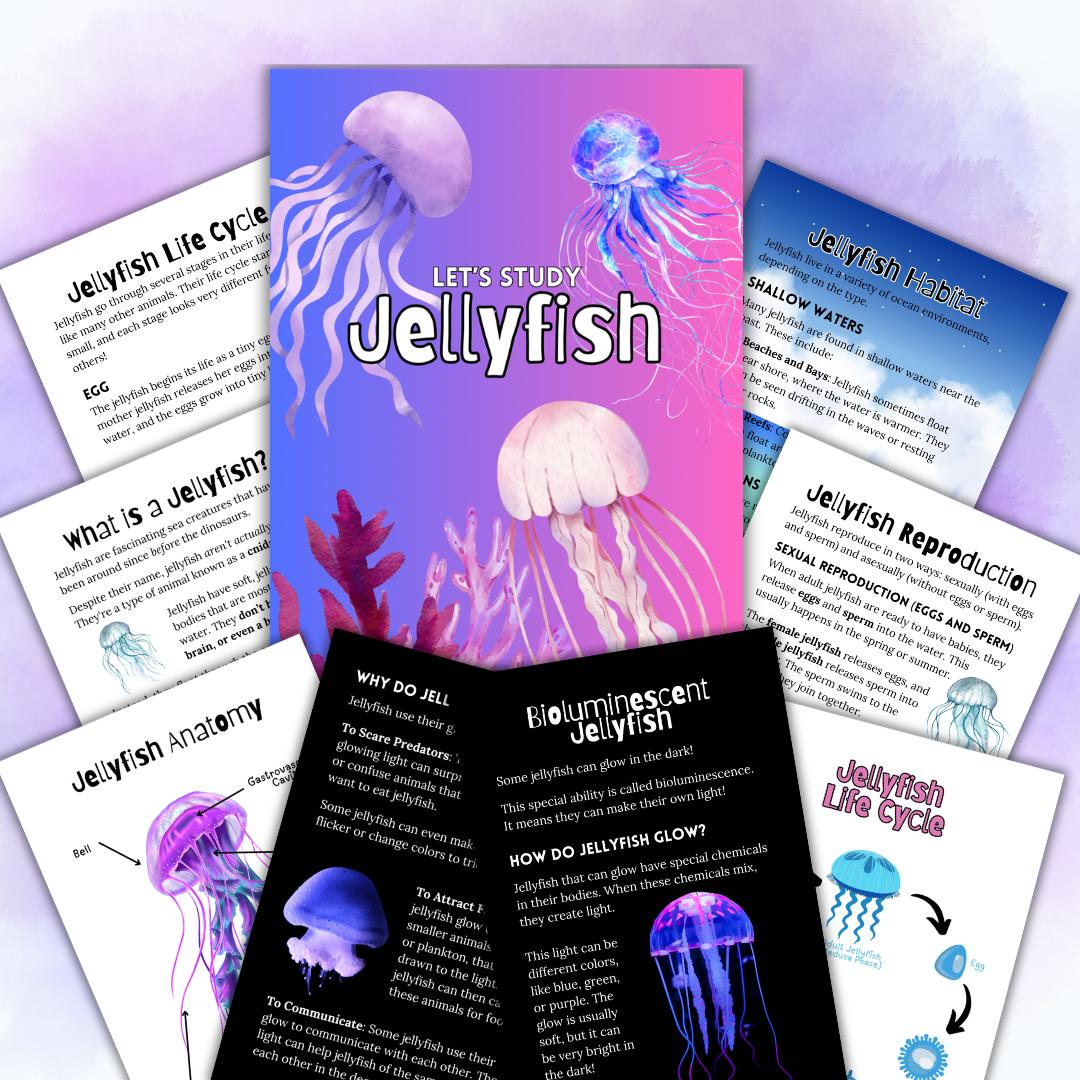 Jellyfish Mini Study | Ocean Life Printable | Homeschool Science Unit ...
