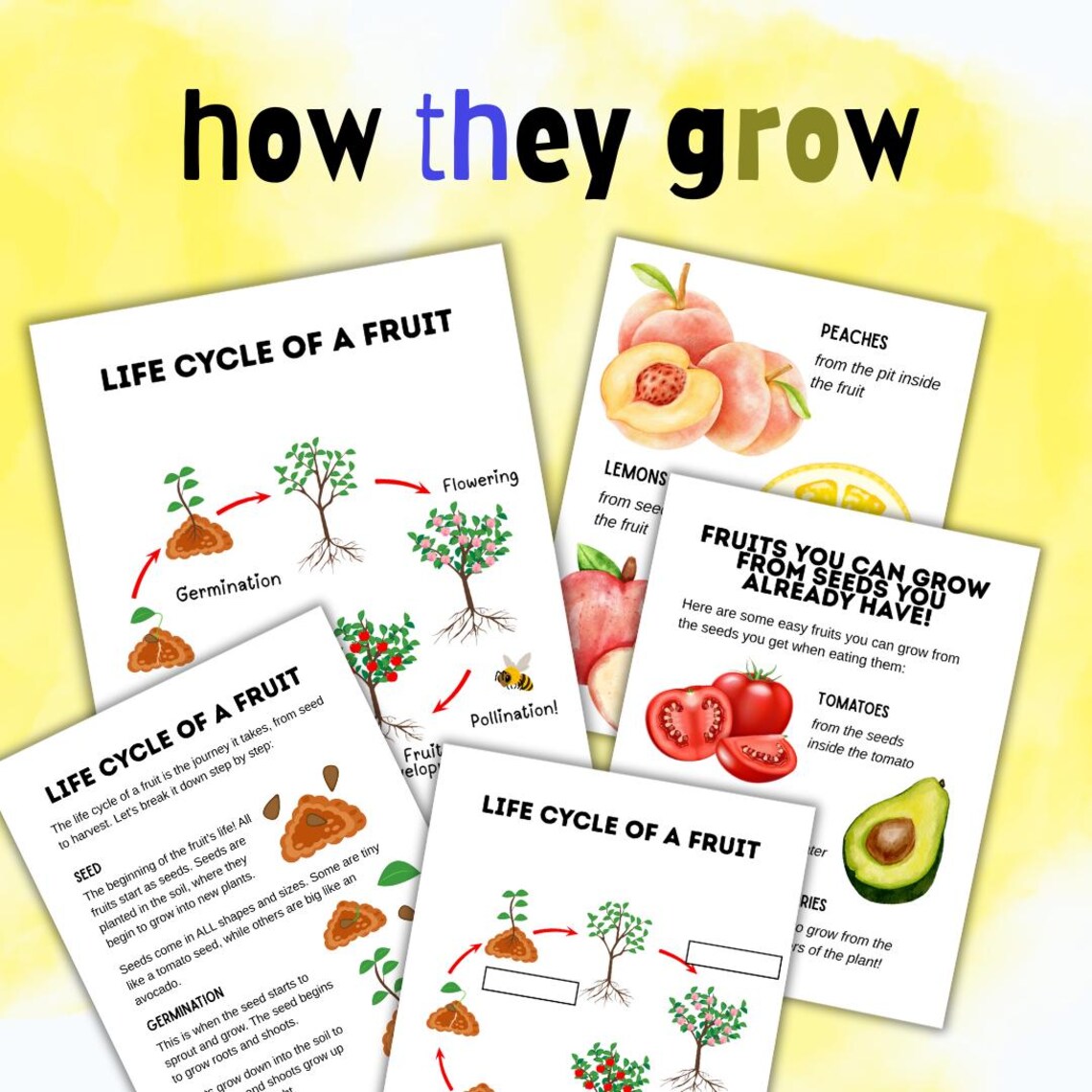 Fruits Homeschool Study Unit | Digital Download Curriculum Learning ...