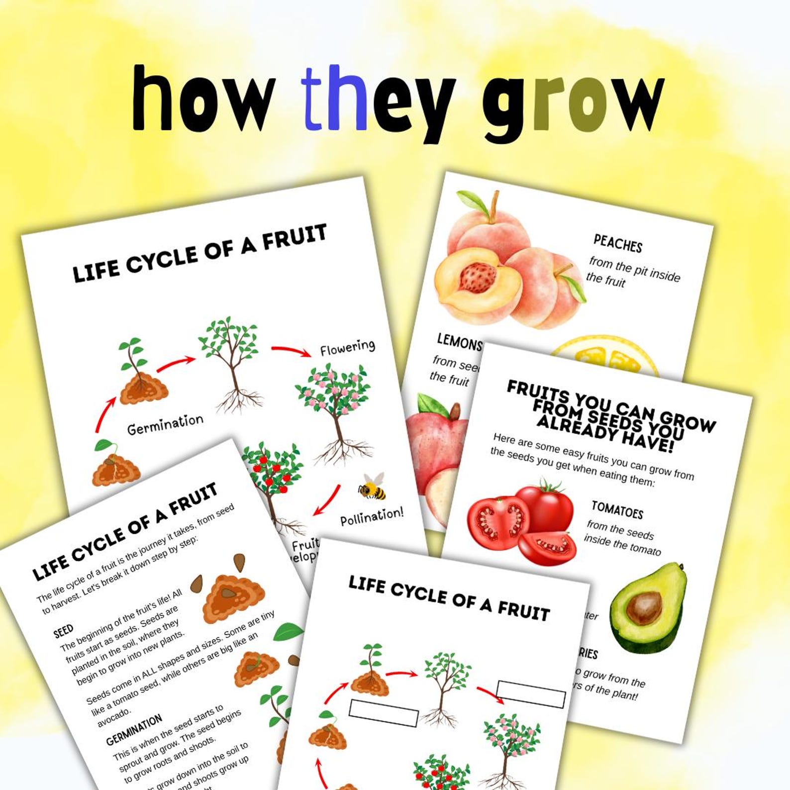 Fruits Homeschool Study Unit | Digital Download Curriculum Learning ...