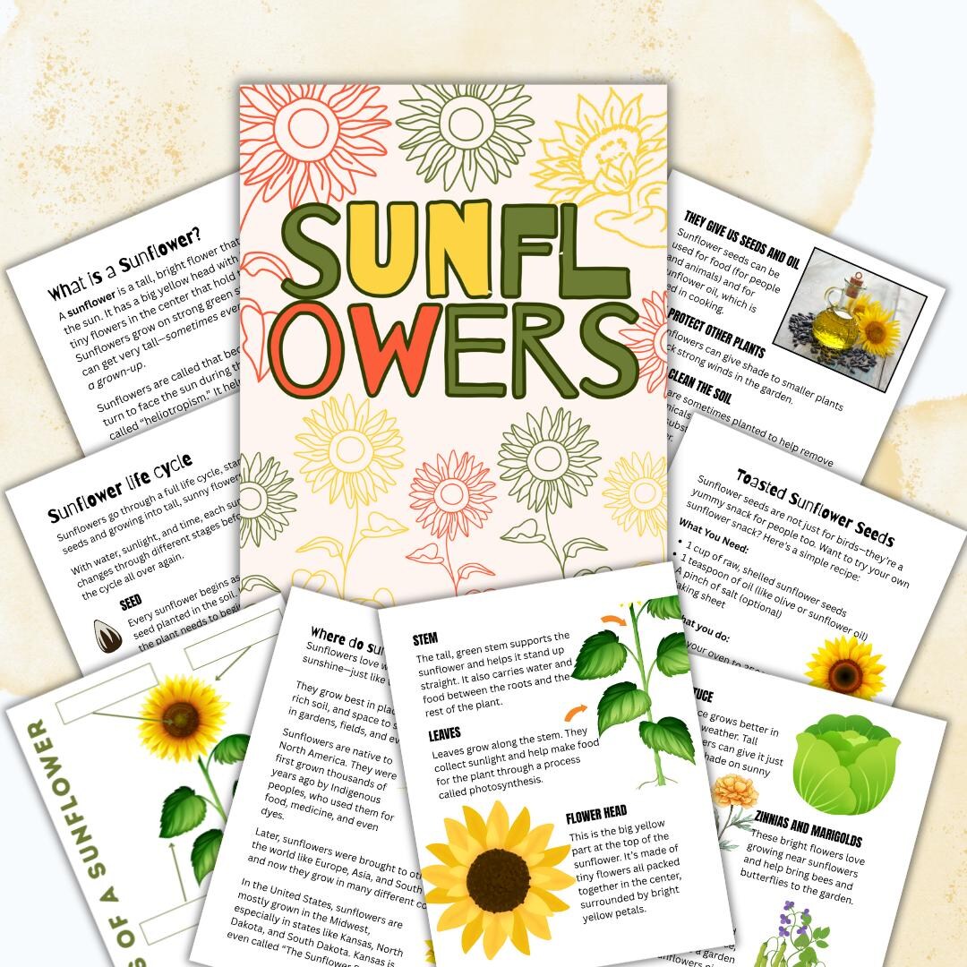 Sunflowers Plant Homeschool Study Unit | Digital Download Curriculum - Etsy