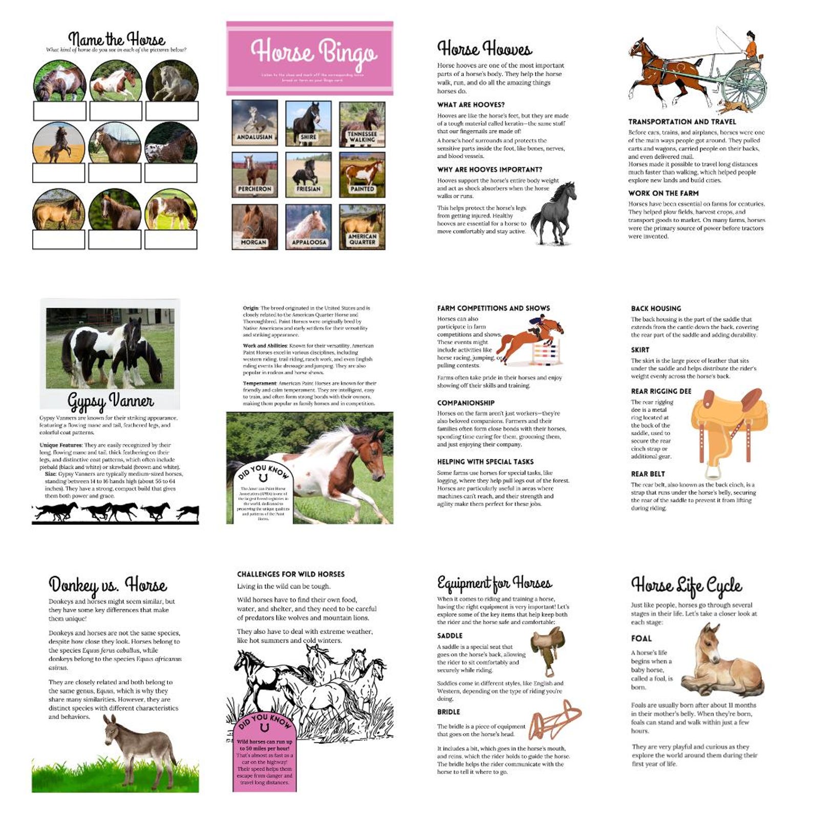 Horses Homeschool Study Unit | Digital Download Curriculum - Etsy