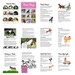 Horses Homeschool Study Unit | Digital Download Curriculum - Etsy