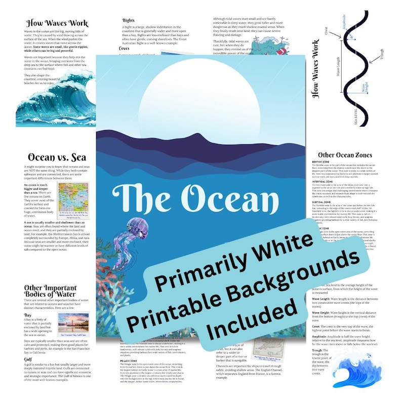 The Ocean Homeschool Study Unit | Fall Digital Download Curriculum - Etsy