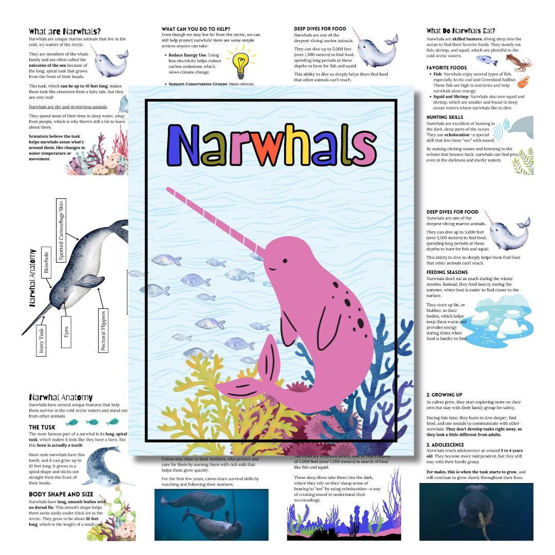 Narwhal Homeschool Study Unit | Digital Download Curriculum - Etsy