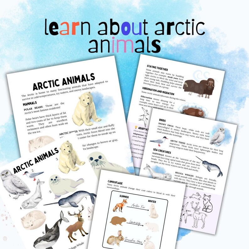 The Arctic Unit Study | Arctic Animals + Ecosystems | Geography ...