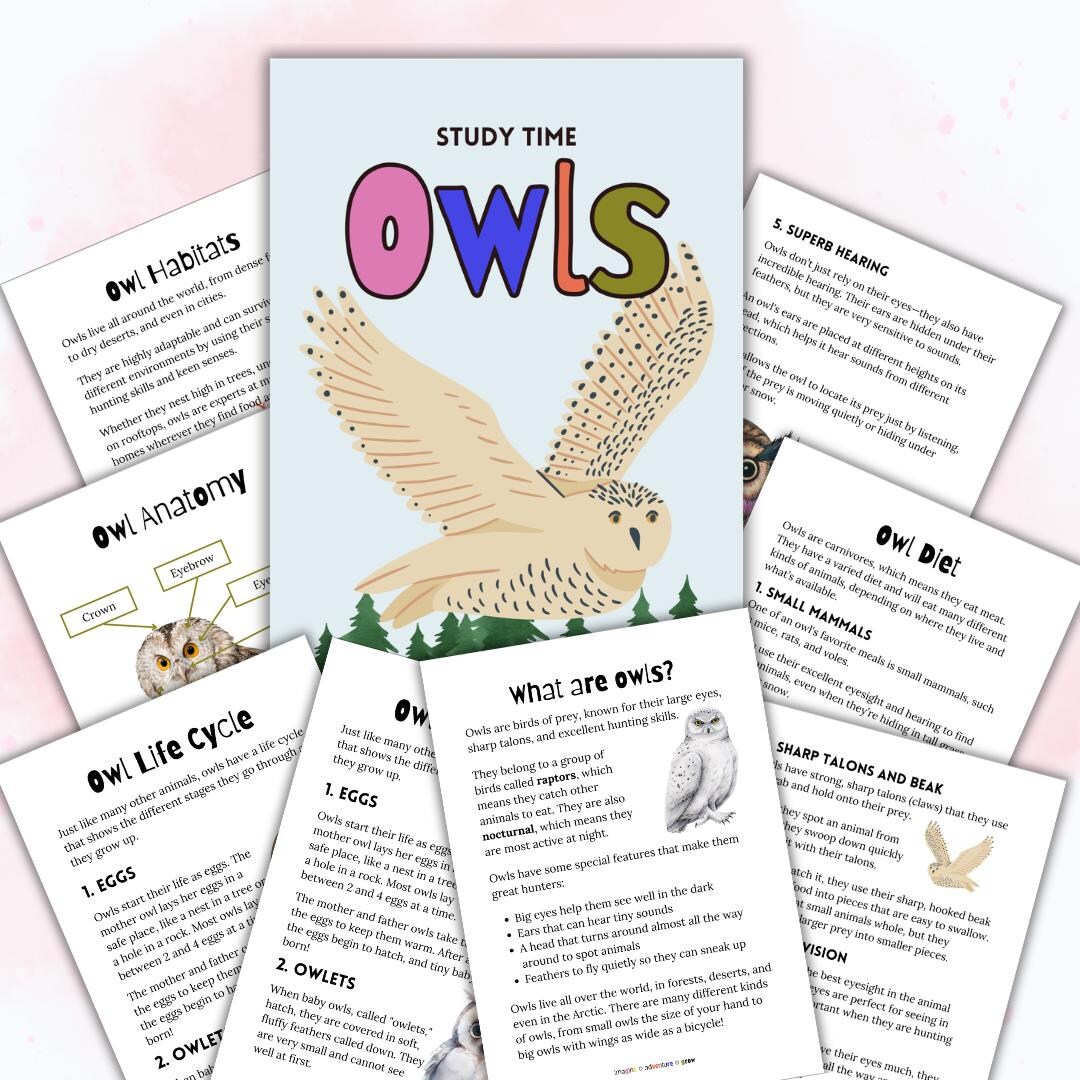 Owls Homeschool Study Unit | Digital Download Curriculum | Fall Animals ...