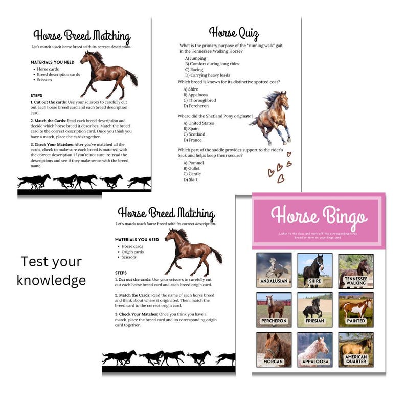 Horses Homeschool Study Unit | Digital Download Curriculum - Etsy