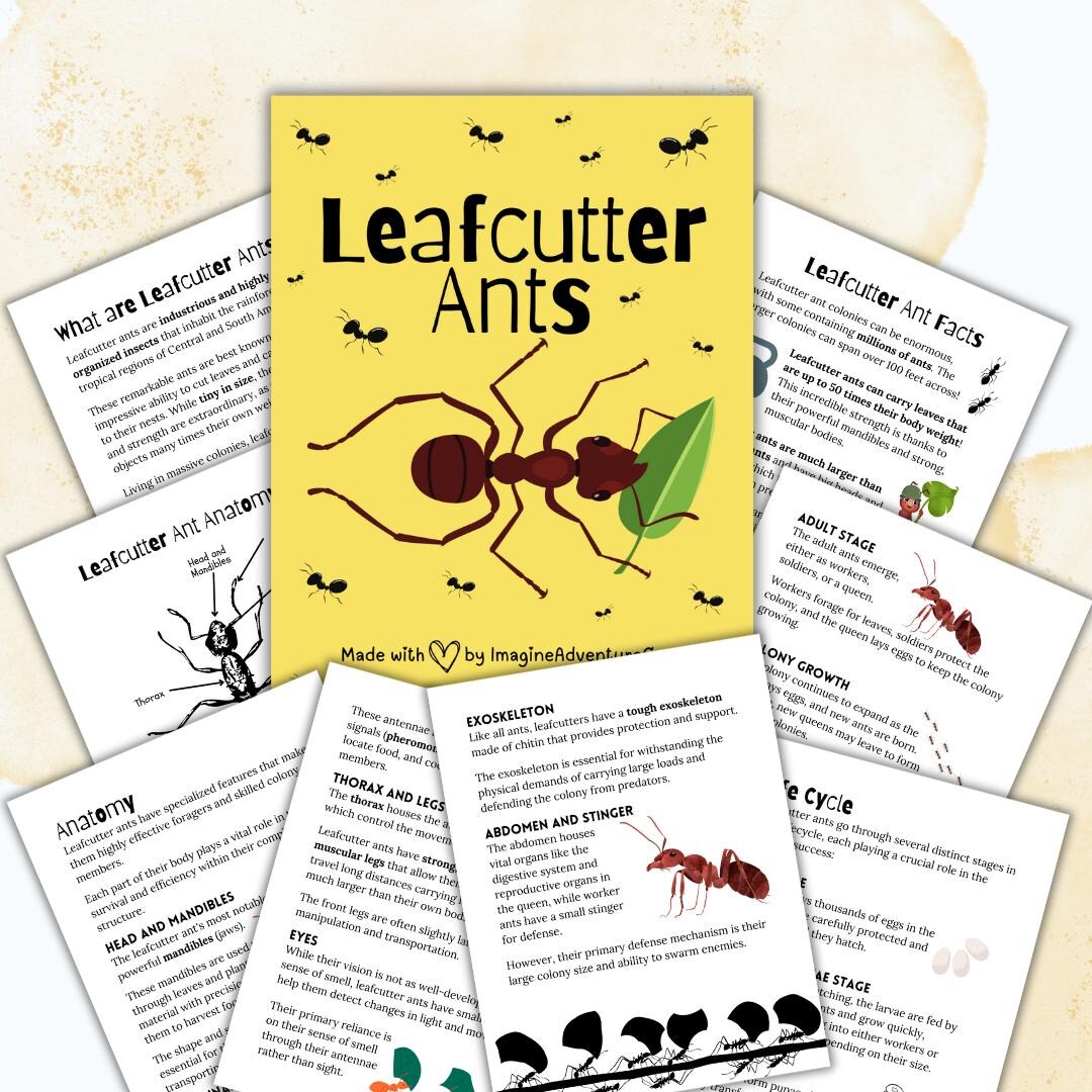 Leafcutter Ants Homeschool Mini Study Unit | Bugs Digital Download ...