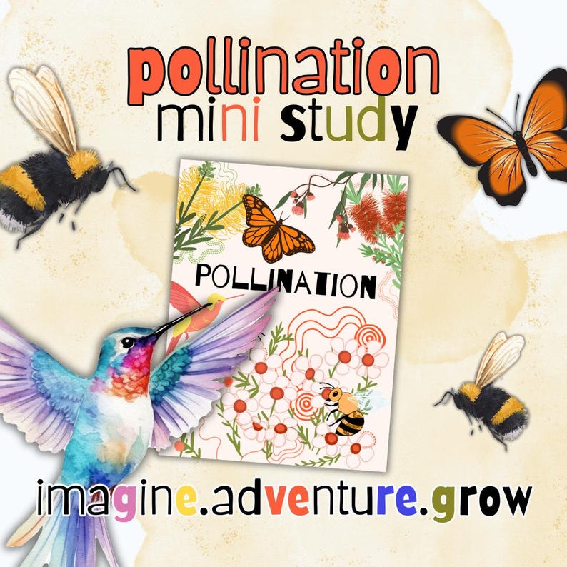 Pollination Science Homeschool Study Unit | Elementary Digital Download ...