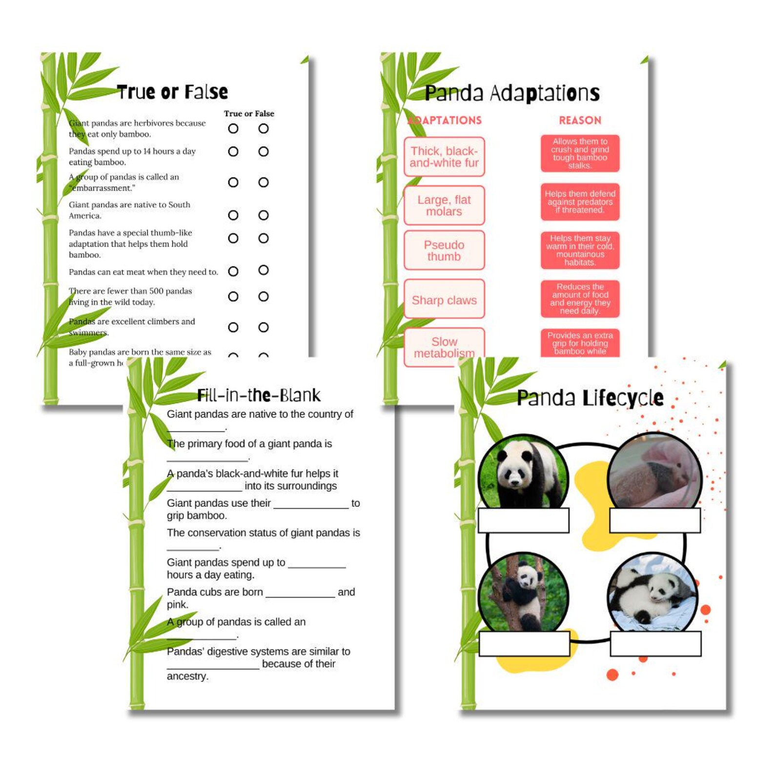 Giant Panda Homeschool Study Unit | Digital Download Curriculum - Etsy