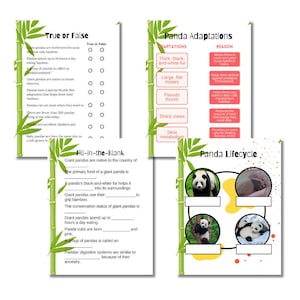 Giant Panda Homeschool Study Unit | Digital Download Curriculum - Etsy