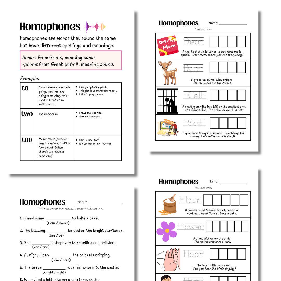 Homophones, Homographs, Homonyms No Prep Worksheet Pack | English ...