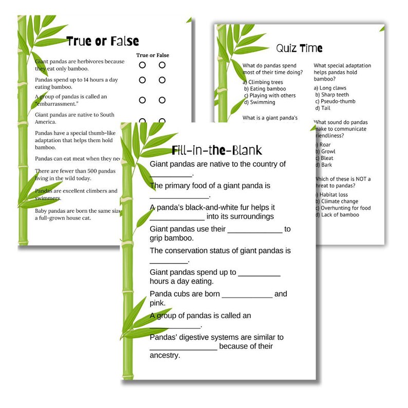 Giant Panda Homeschool Study Unit | Digital Download Curriculum - Etsy