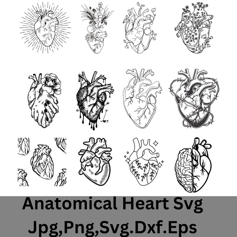 Anatomical Heart Svg, Heart Svg, Human Heart Clip Art Decal, Nurse Life ...