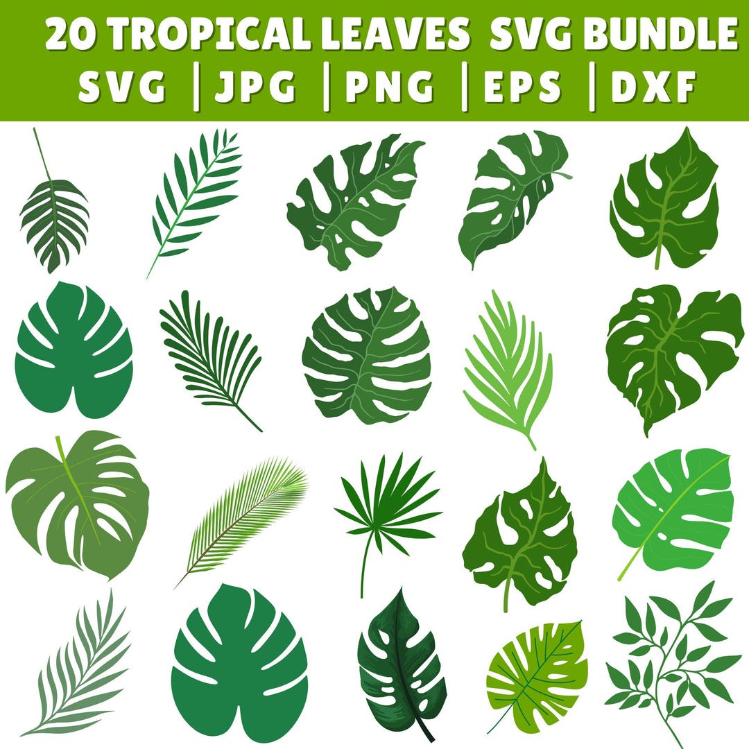 Tropical Leaves Svg Bundle, Tropical Leaf Svg, Palm Leaves Svg, Palm Branch Svg, Jungle Leaves ...