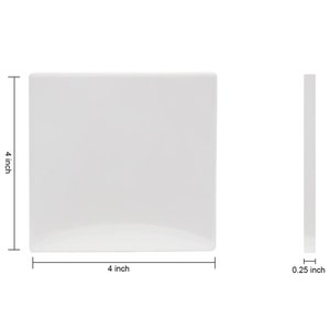 Cedar Point Logo Coaster Set - Etsy